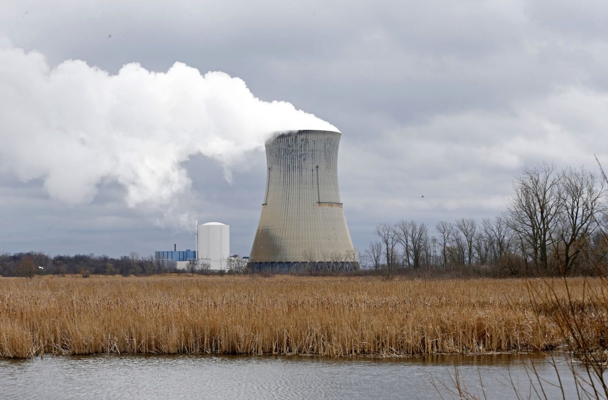 Nuclear plant owners expand search for rescue to more states - Observer ...
